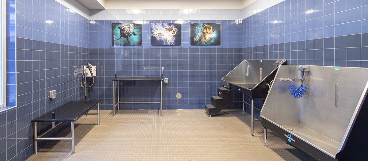 MAA Midtown | Atlanta Penthouses and Luxury Apartment | MAA