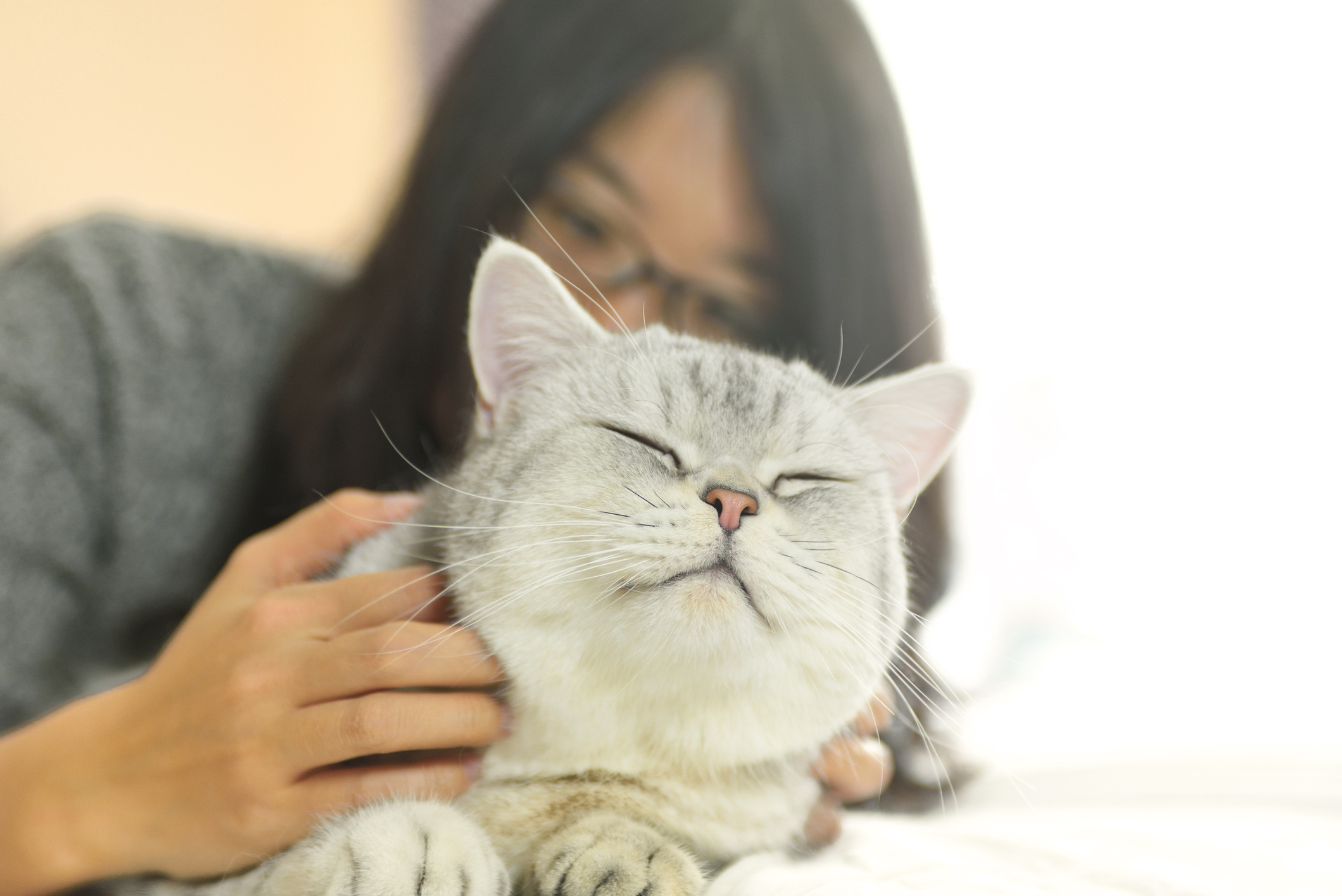 MAA Benton Luxury Apartment Homes for Rent in Savannah, GA